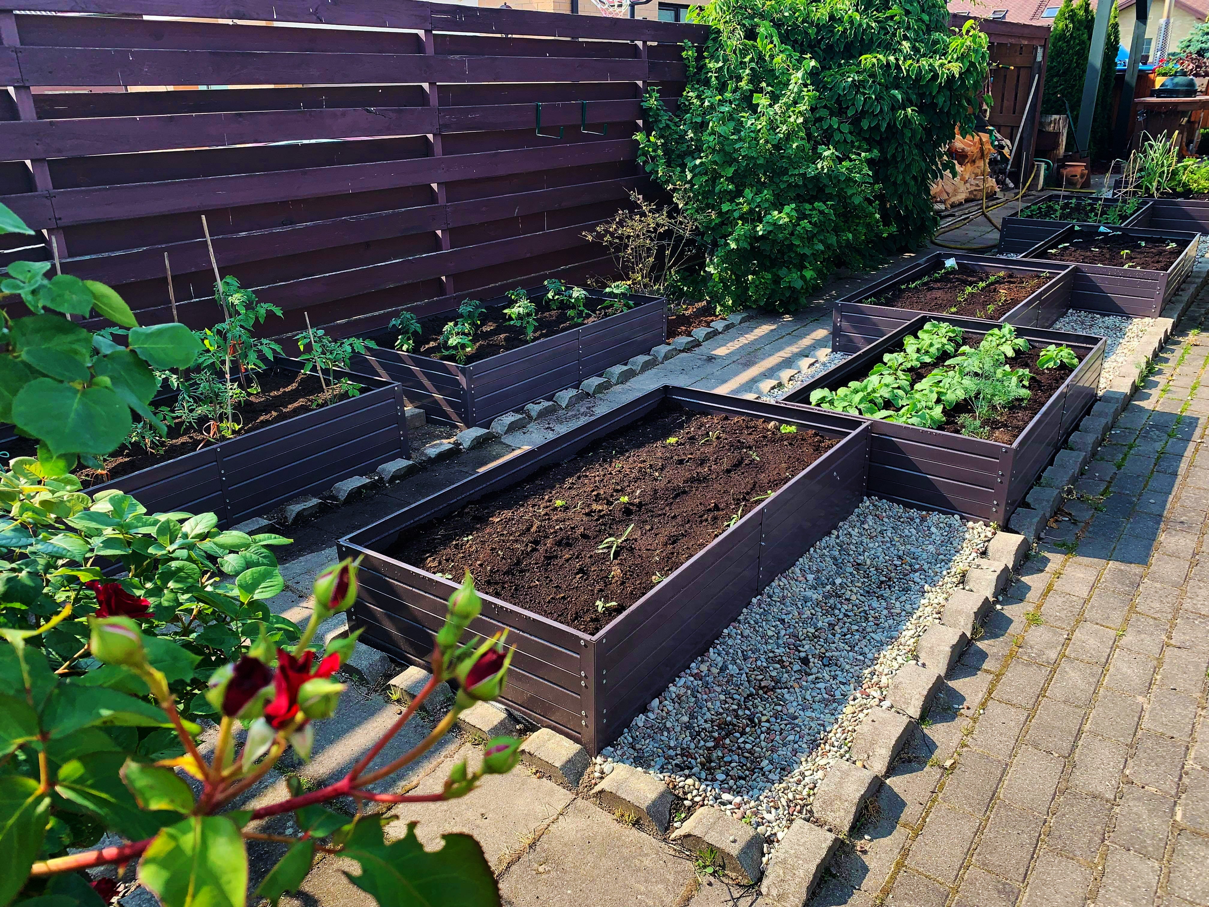 Raised beds – Polyeco Greenhouses