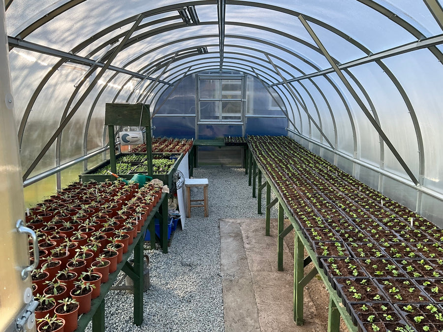 Polyeco Classic – Polyeco Greenhouses